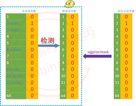 信号 爱编程的大丙
