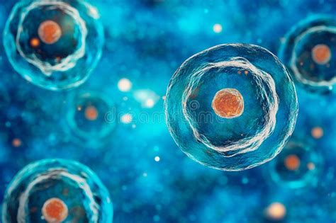 Exploring The Intricate Beauty Of Cellular Structures Under A Microscope Stock Illustration