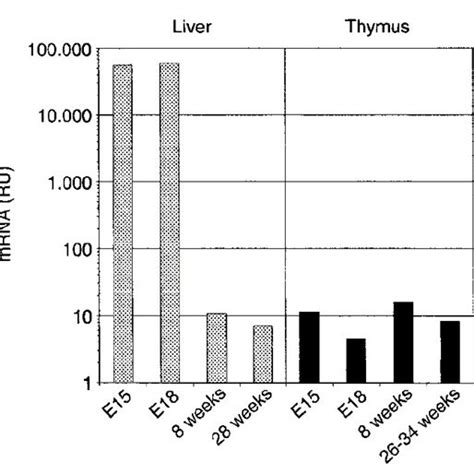 Promiscuous Expression Of A Fetal Tissue Antigenpre And Postnatal
