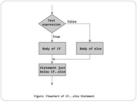 C Decision Making And Looping Pptx Programming Languages Computing
