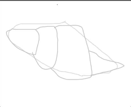 How To Draw A Shell