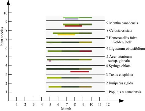Ornamental Plant Landscape Unit Case 4 Download Scientific Diagram
