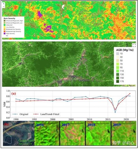 Gee遥感云大数据在林业中的应用与典型案例分析 知乎