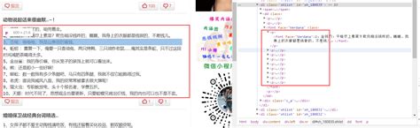 Xpath的string用法 风,又奈何 博客园 Xpath的string用法 风,又奈何 博客园