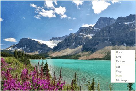 Overview Radpicturebox Telerik Ui For Winforms