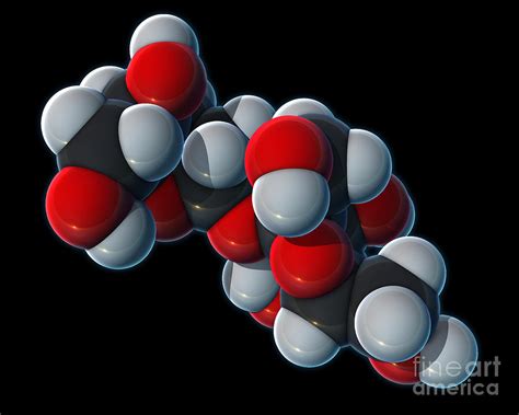 Sucrose Molecular Model Photograph By Evan Oto Pixels