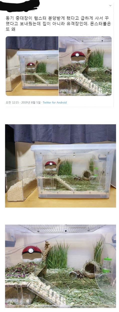 중대장이 만든 햄스터 집 베픽