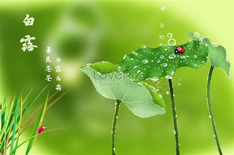 신선한 흰색 배경 사진 및 창의적인 일러스트 무료 다운로드 Lovepik