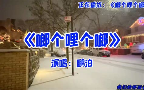 啷个哩个啷啷个哩个啷啷当你偷偷的想我 鸭子的怀旧音乐 鸭子的怀旧音乐 哔哩哔哩视频