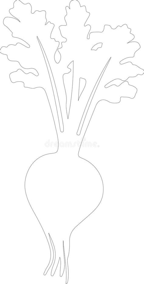 Parsnip Outline Silhouette Generative Ai Stock Vector Illustration Of Illustrations Modern