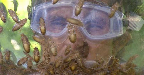 Fatima Whitbread Shares Grim Story About Infamous Im A Celebrity Cockroach Incident Huffpost