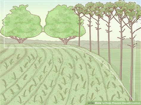 Easy Ways To Help Prevent Desertification 12 Steps