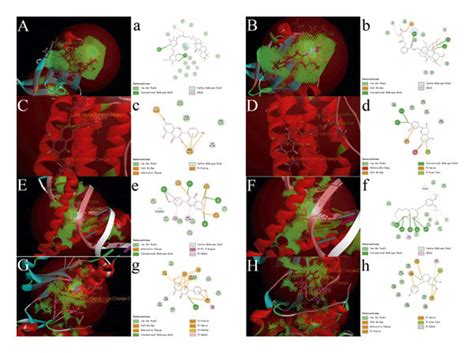 3d And 2d Graph Of Docking Conformations Of Ligands And Hub Proteins