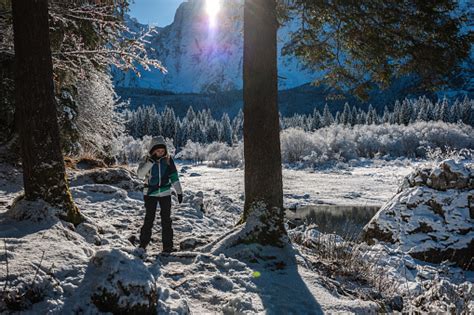 젊은 여 자가 즐기는 아침 겨울 짧은 서사시 줄리안 알프스 이탈리아 유럽 걷기에 대한 스톡 사진 및 기타 이미지 걷기 겨울 계곡 Istock
