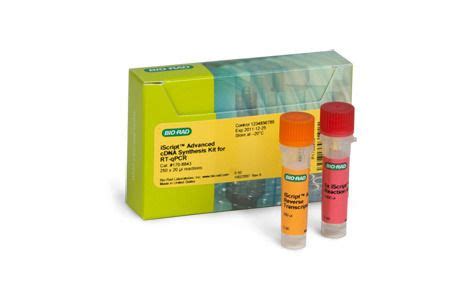CDNA Synthesis Kit At Best Price In Delhi ID SymBio Scientific Pvt Ltd