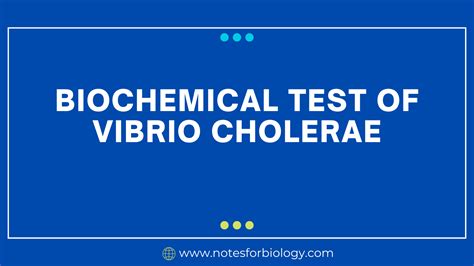 Vibrio Cholerae Biochemical Test