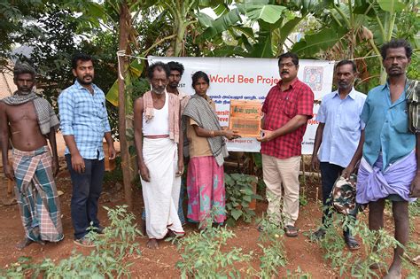 Gallery Examples World Bee Project