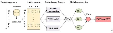 Github Taigangliuipvp Mcv