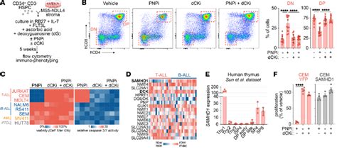 Dck And Samhd1 Mediate Pnpi Induced Lethality A Experimental Design