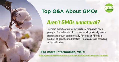 Top 10 Gmo Questions And Answers Gmo Answers