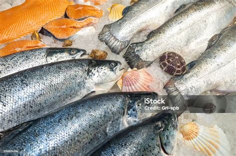 해산물 거래 얼음 위에 누워있는 물고기 생선 가게를 소개합니다 해산물 요리법 가게 카운터에 있는 통째로 도살된 연어 제품의 적절한 보관 온도를 보장합니다 건강한 생활방식에