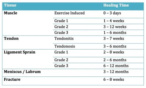 Soft Tissue Healing Times The Physio Groupthe Physio Group