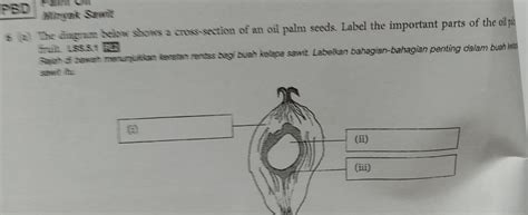 Solved PBD Müryak Sawil 6 2 The diagram below shows a cross section