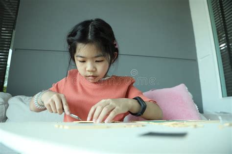 Hobby At Home Stock Image Image Of Horizontal Imagination 376102389