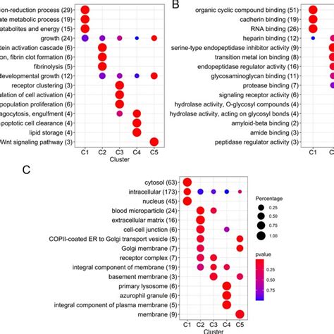 Overrepresented Go Annotations In Each Wgcna Cluster Of The Proteomics