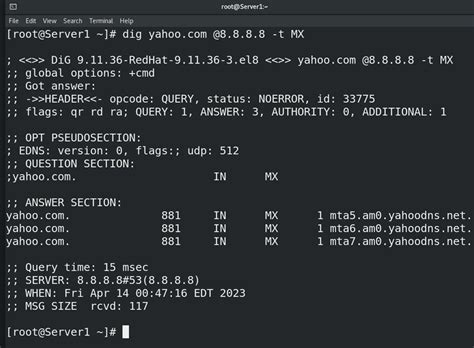 The Dig Command On Linux