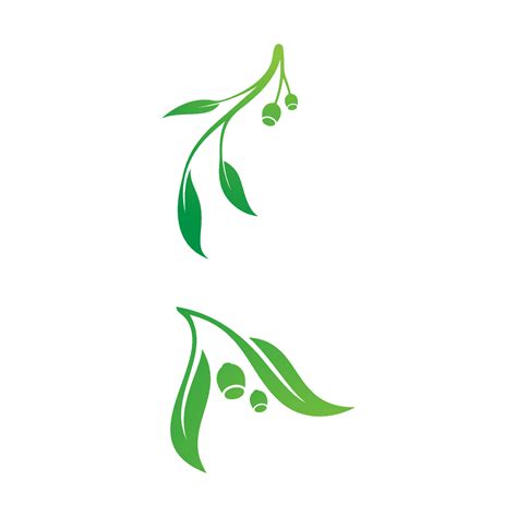 Olive Leaf Vector Illustration Design 13097060 Vector Art At Vecteezy