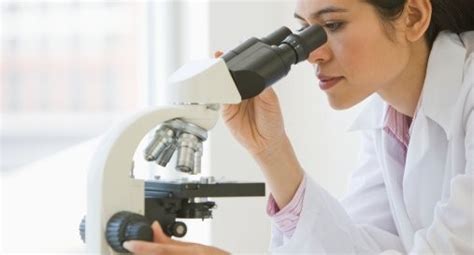 Automated Microscopy Market Global Industry Analysis Size Share