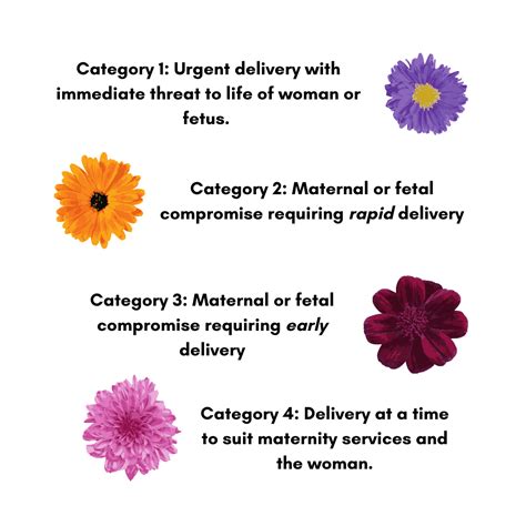 FAQs About C Sections