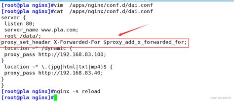 Nginx的重写与反向代理机制解析nginx配置反向代理 路径重写 Csdn博客