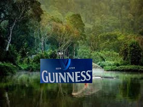 Machine Learning Tensorflow Object Detection Api Faster Rcnn Converges But Detection Is