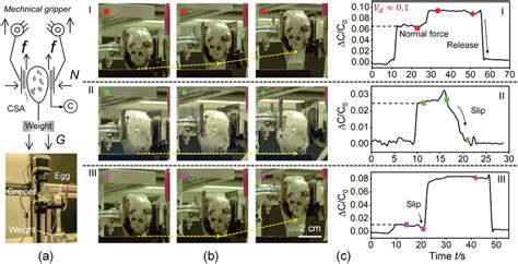 Proofofconcept Of CSA As A Contact Interface Introduced In A Download Scientific Diagram