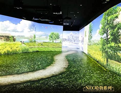 国际博物馆日｜寻根历史 擘画未来 Nec投影机助力博物馆场景数字化