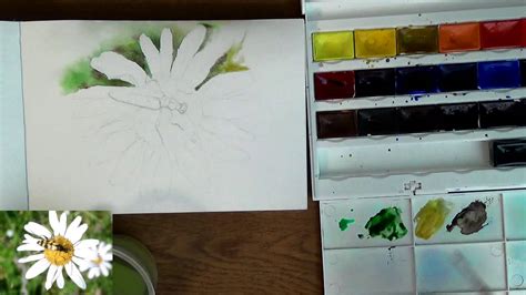 Мастер класс по рисованию жука акварельными карандашами Youtube