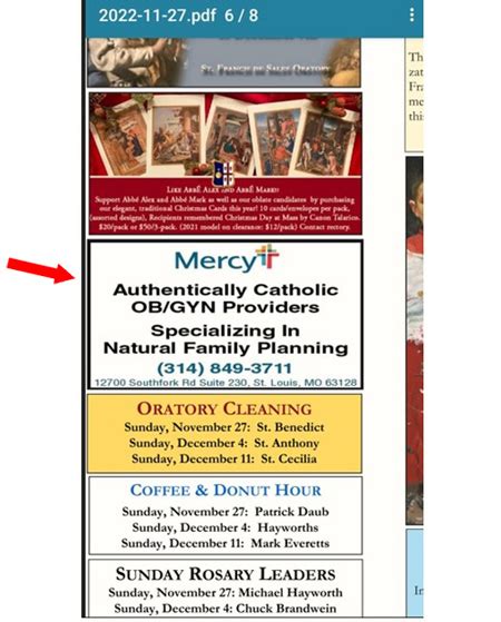 Sex Shop Scandal And Nfp At The Oratory