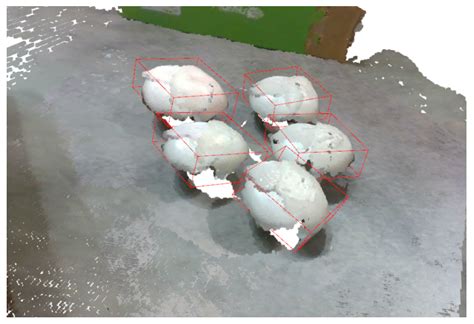 Mushroom Detection And Three Dimensional Pose Estimation From Multi View Point Clouds
