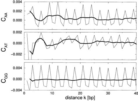 Correlation Functions Of Pseudo Dna Obtained By Back Translation Of A Download Scientific