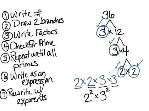ShowMe 180 Factor Tree