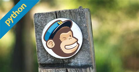 Mailchimp Integration Coding For Entrepreneurs