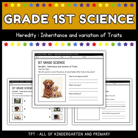 Science Worksheets 1st Grade Genetics Heredity Inheritance Variation