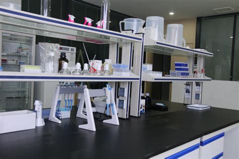 He和免疫组化概述 知乎