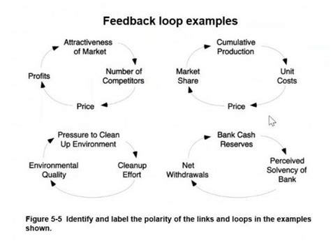 Solved I Want To Name Each Loop Is It R Reinforcing Or B