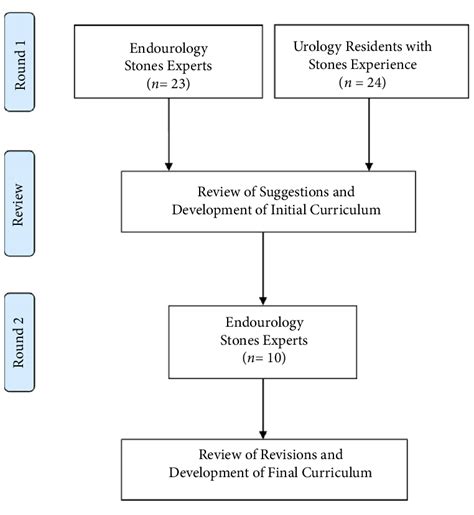 Development Process Of The Intervention Curriculum For Ureterorenoscopy Download Scientific