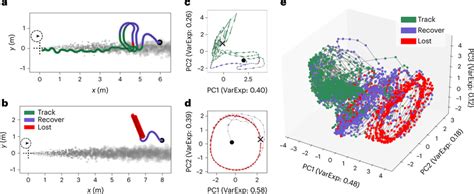 Neural Dynamics Appear To Organize Themselves Into Overlapping Yet Download Scientific Diagram