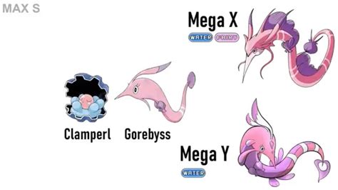 Clamperl Evolution In 2022 Pikachu Art Pokemon Teams Pokemon