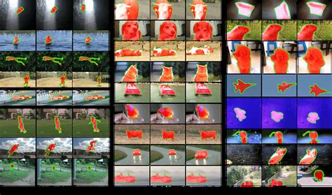 Representative Results Of Csp Red Masks Are The Ground Truth And Green Download Scientific